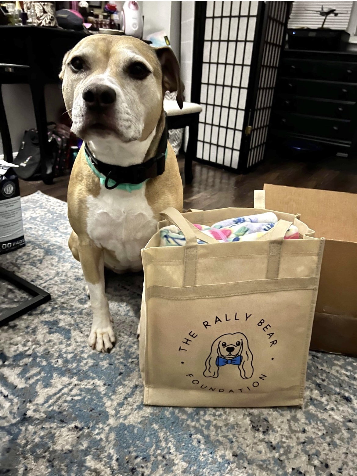 Rally Bag Care Packages - The Rally Bear Foundation
